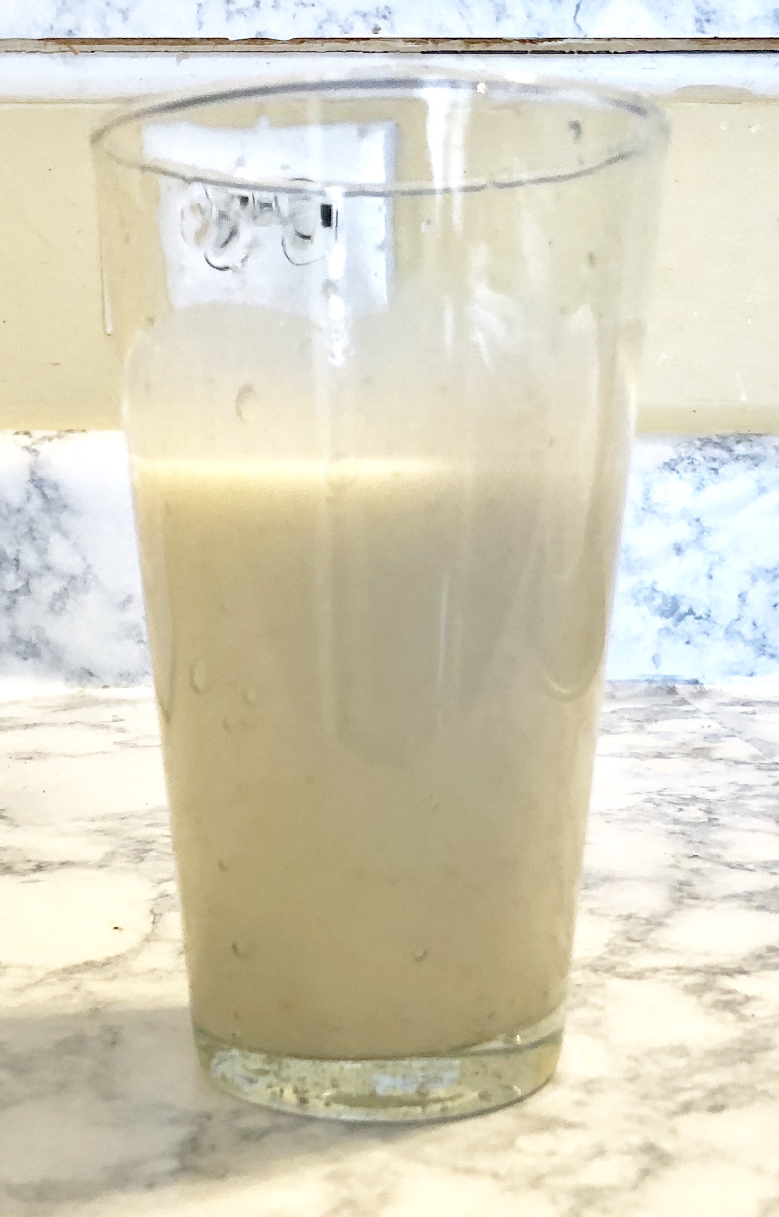 Easy and Fast Oat Milk – Bargain Vegan